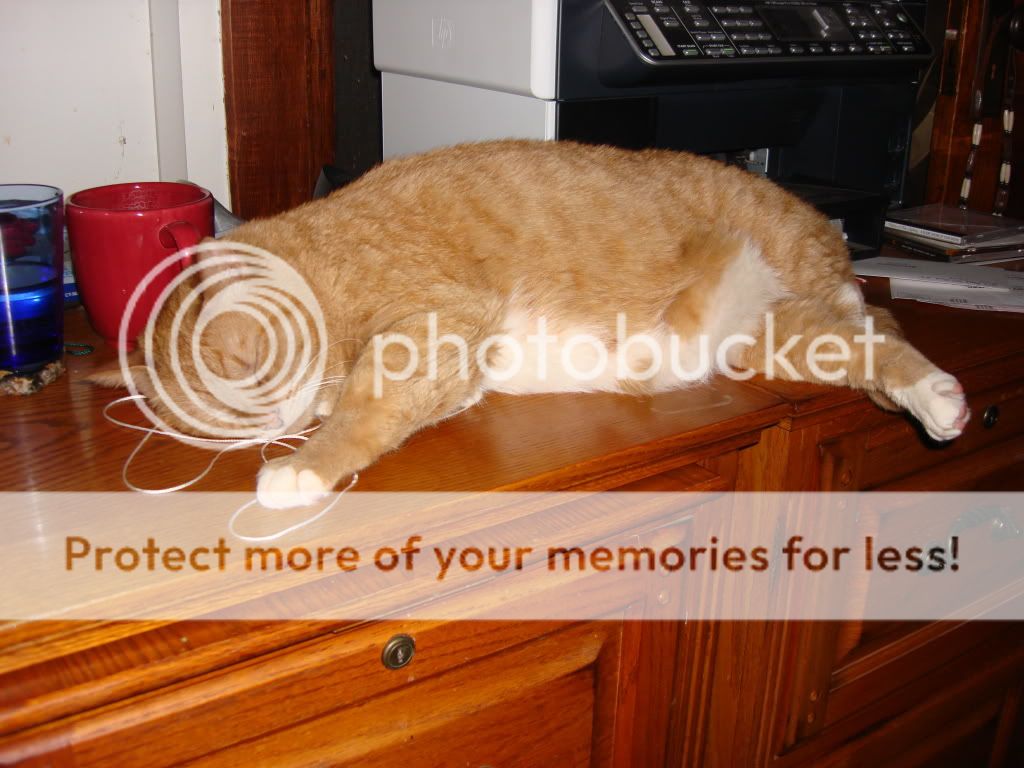 Two Tips From Tiger | Smith & Wesson Forum – The Community for S&W ...